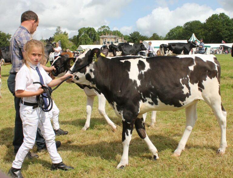 Goosnargh & Longridge Agricultural Show – Cattle - Goosnargh ...